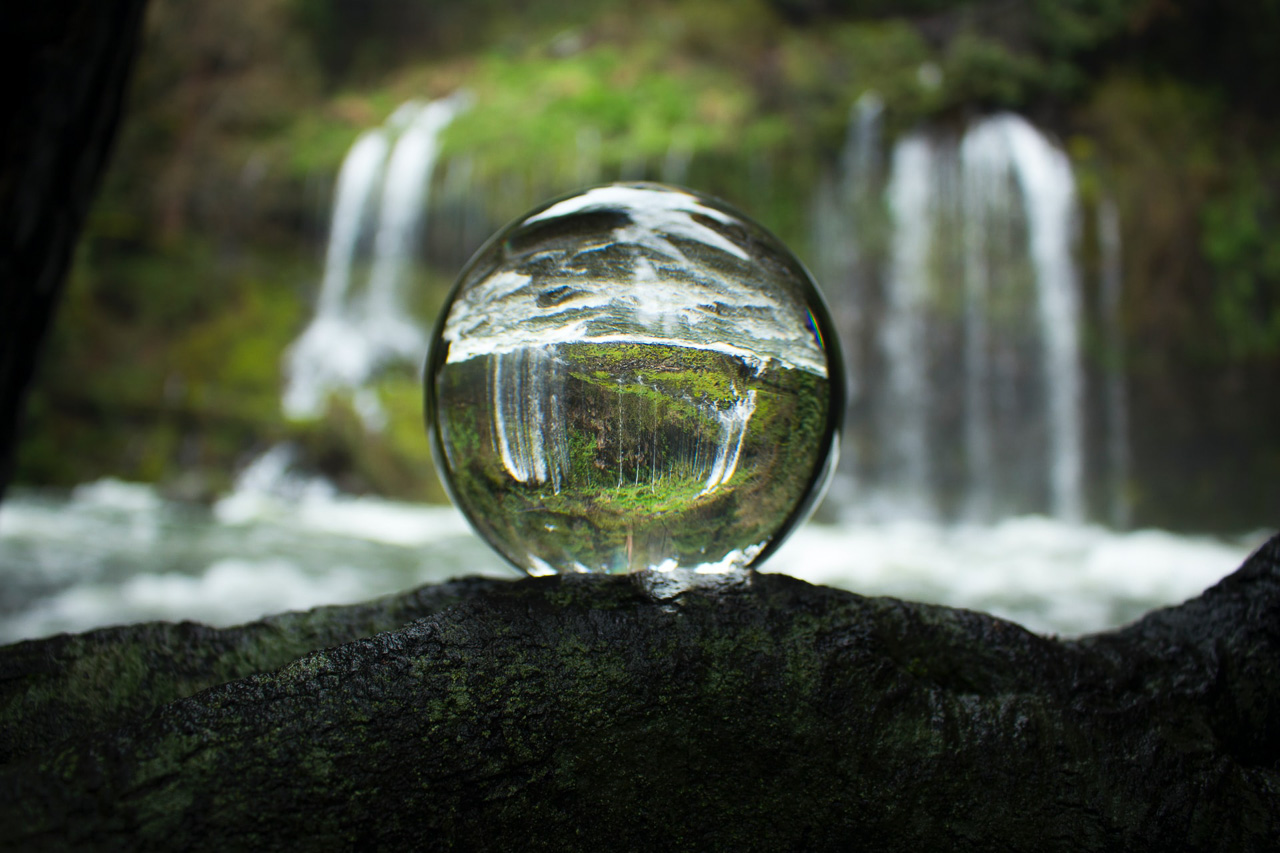 Shallow Depth Of Field A Beginner s Guide