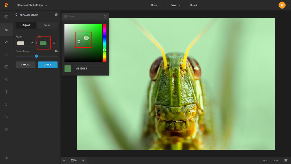 Macro Photography Tips: An Advanced Guide to Stunning Photography