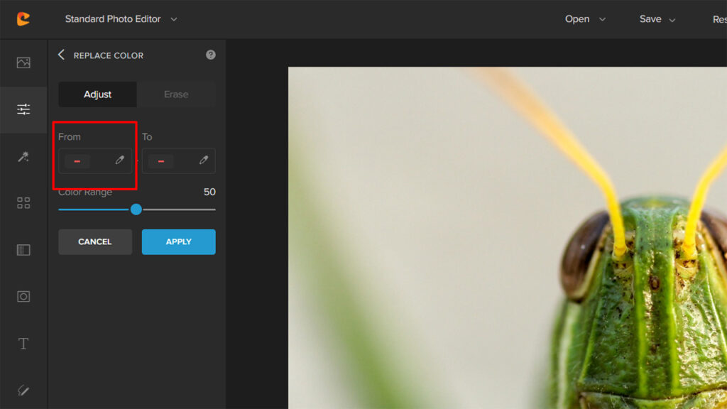 Macro Photography Tips: An Advanced Guide to Stunning Photography